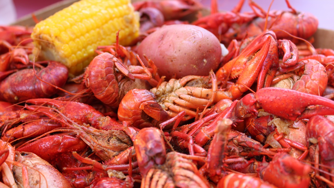 Photo Gallery: TexAgs crawfish boil and spring game tailgate | TexAgs