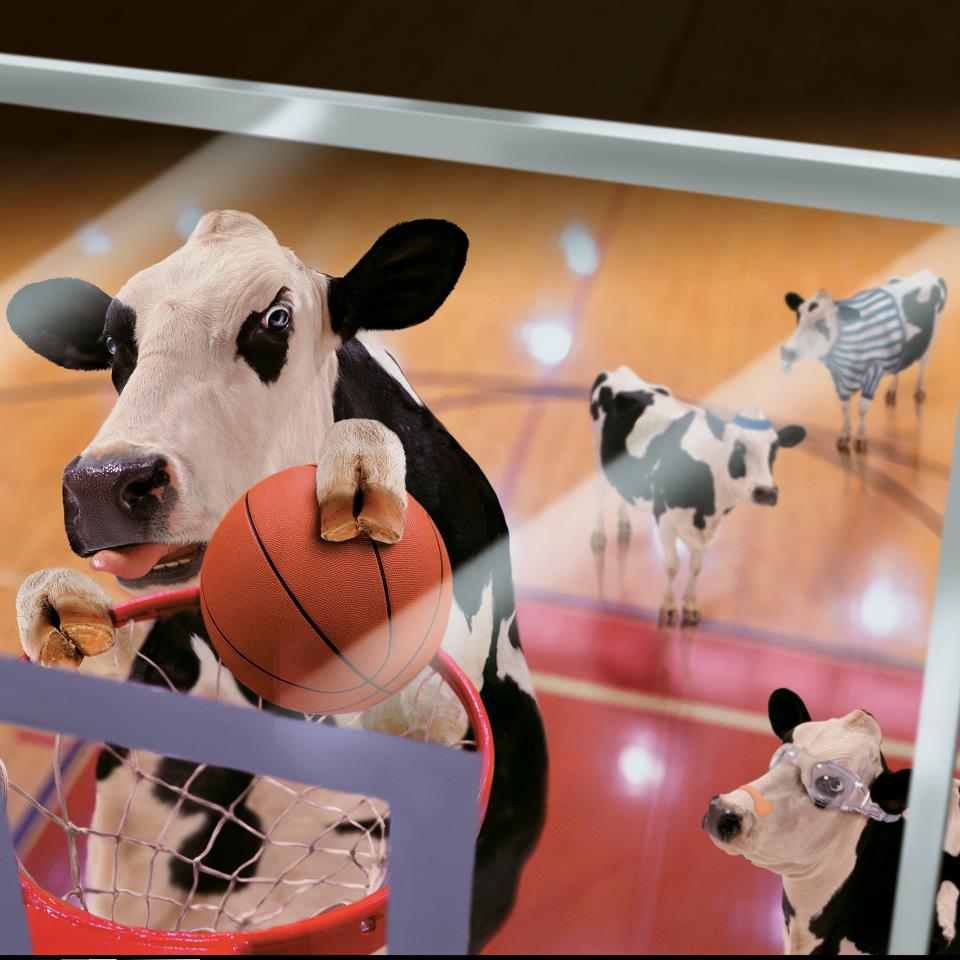 Winner Announced in "How many 3 pointers will the Aggies get" contest ...